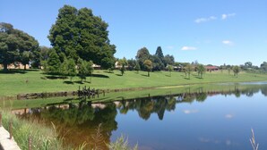 Paisagem tranquila com um lago refletindo árvores e um céu claro.