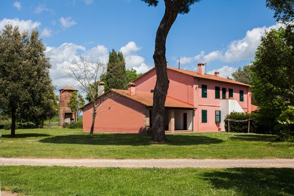 Bio Tenuta Di Paganico - I Roggeti - Toscane