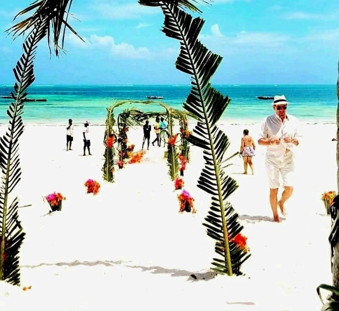 Cenário de praia com céu claro, palmeiras e um caminho que leva a uma área decorada.