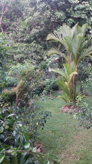 Jardim