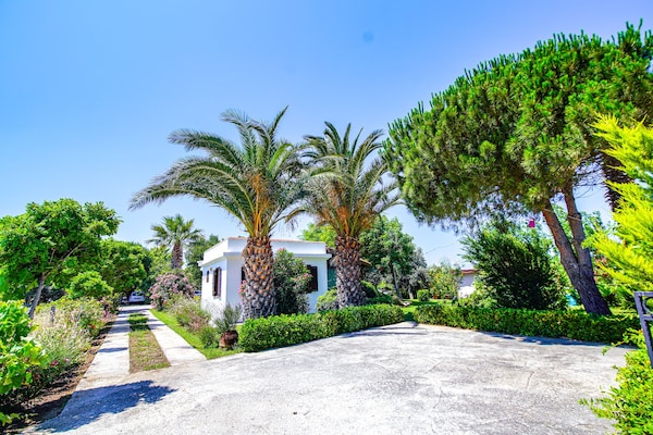 ماين أبارت - Çanakkale