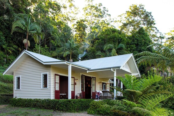 Nightcap Ridge - North Coast