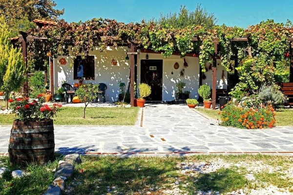 Dionysos Apartments - Halkidiki