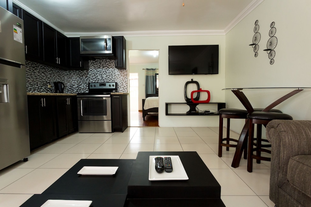 Central Kingston Apartment- Clean, Cozy & Secure - Kingston