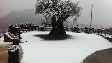 Área da propriedade