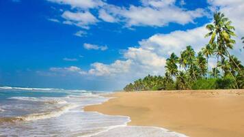 Vista para a praia ou o mar