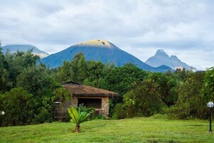 Jardim