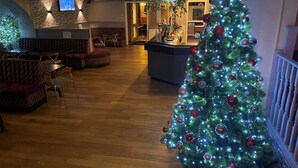 Uma sala ampla com uma grande árvore de Natal, piso de madeira e assentos confortáveis.