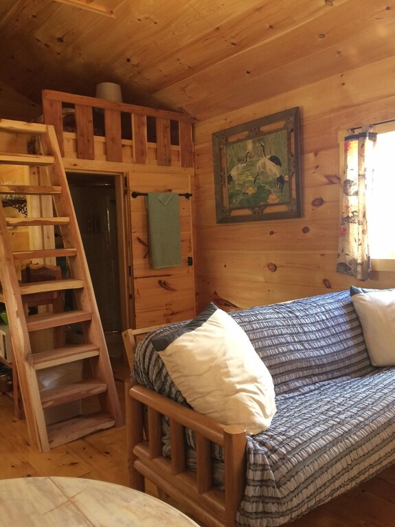 The Lily Pad, Headwaters Of Eden Falls - Arkansas