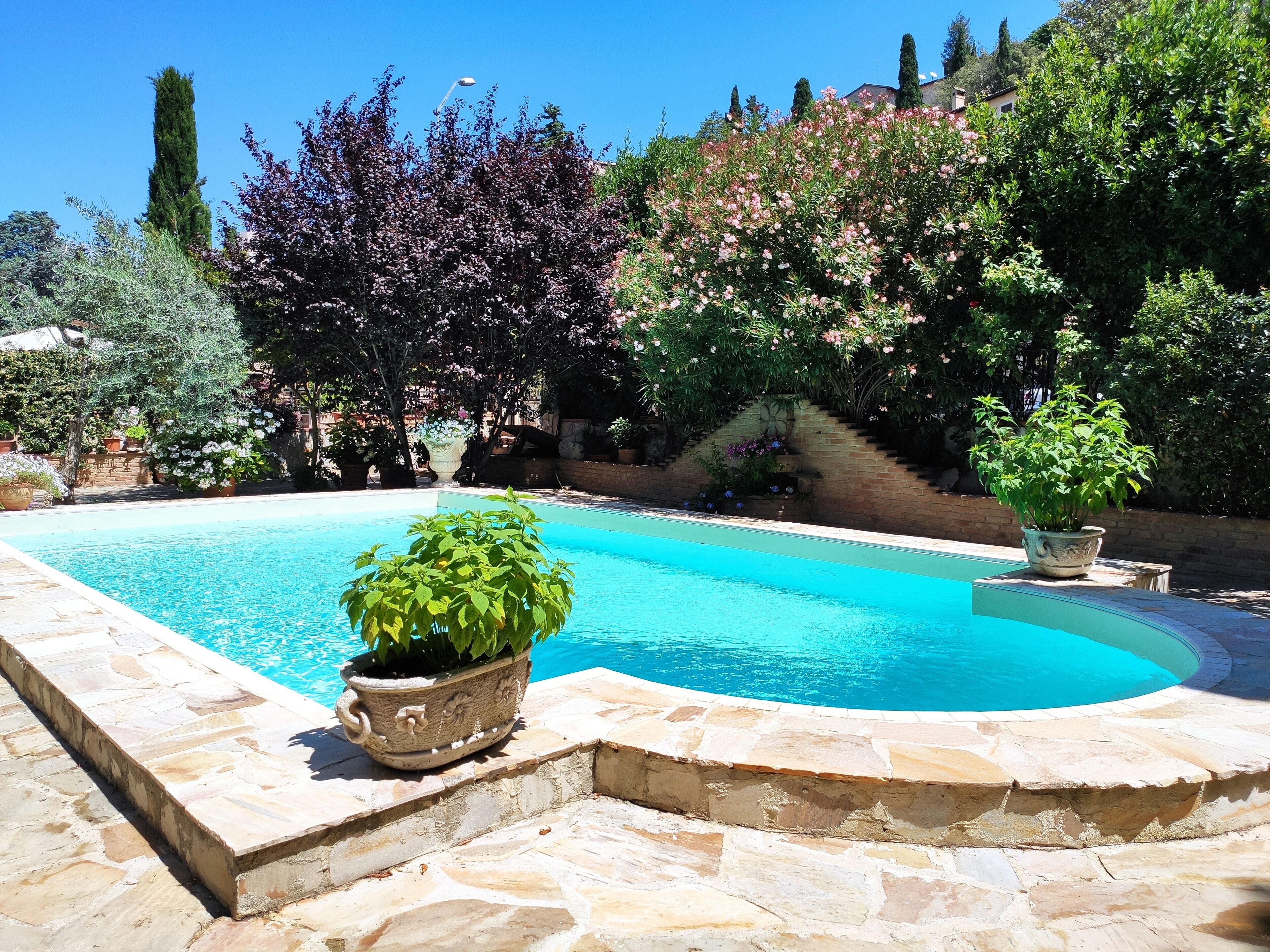 Piscina com borda de pedra, rodeada por vasos e árvores.