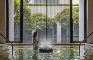 Sauna seca, banheira de hidromassagem, sauna a vapor