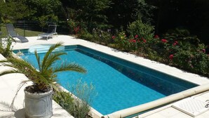 Uma piscina retangular com um deck ladrilhado, cercada por vegetação exuberante e plantas floridas.
