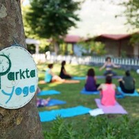 Aula de yoga em um parque, com participantes em tapetes.