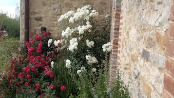 Pátio interior