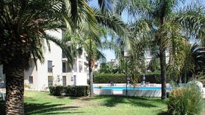 Área de piscina com deck coberto, cercada por palmeiras e gramado bem cuidado.