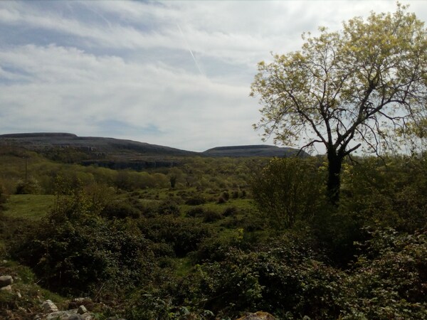 Burren Bushcraft - Camping & Adventures - Irlande
