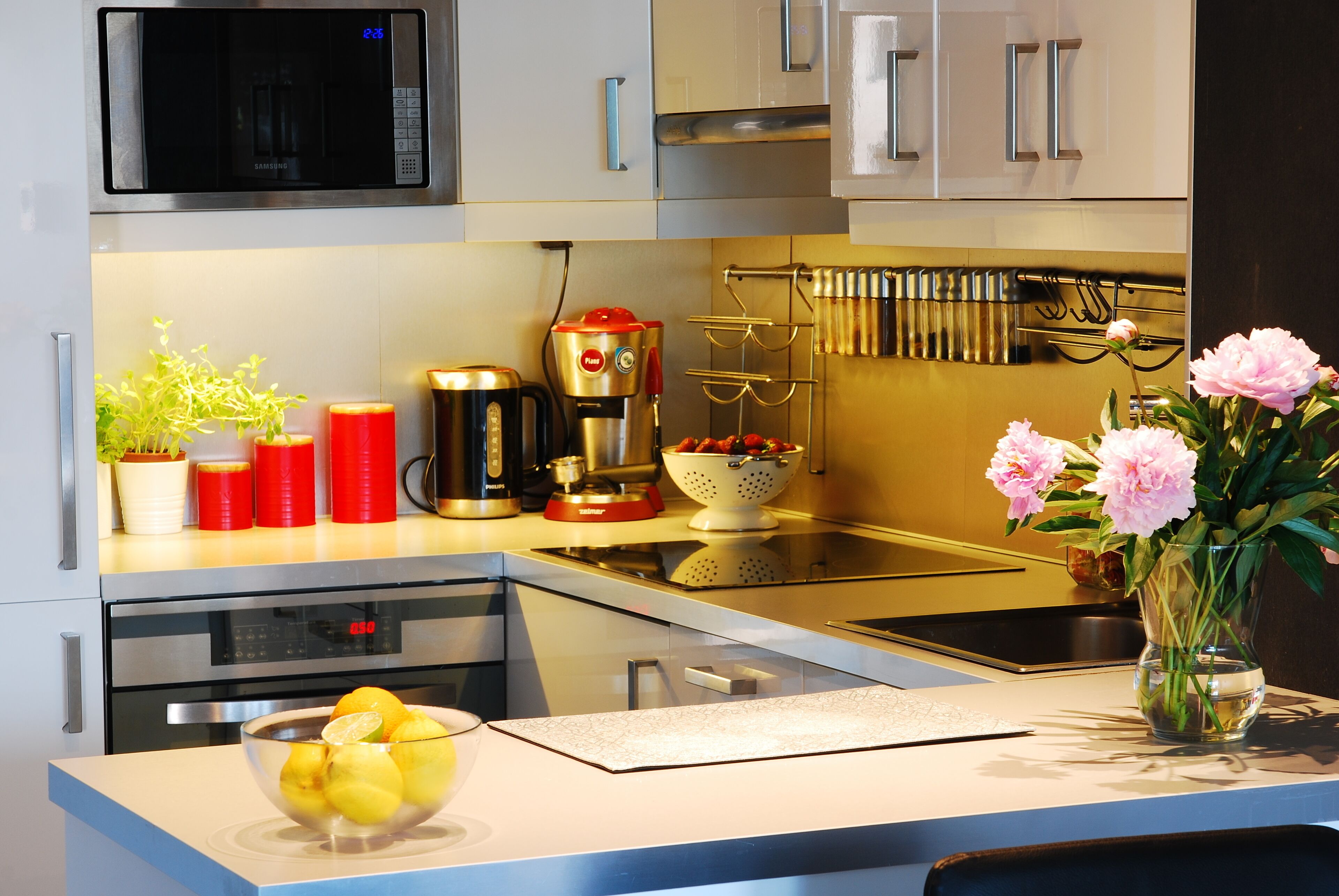 Apartamento | Cozinha privada | Um frigorífico, um micro-ondas, uma placa de cozinha 