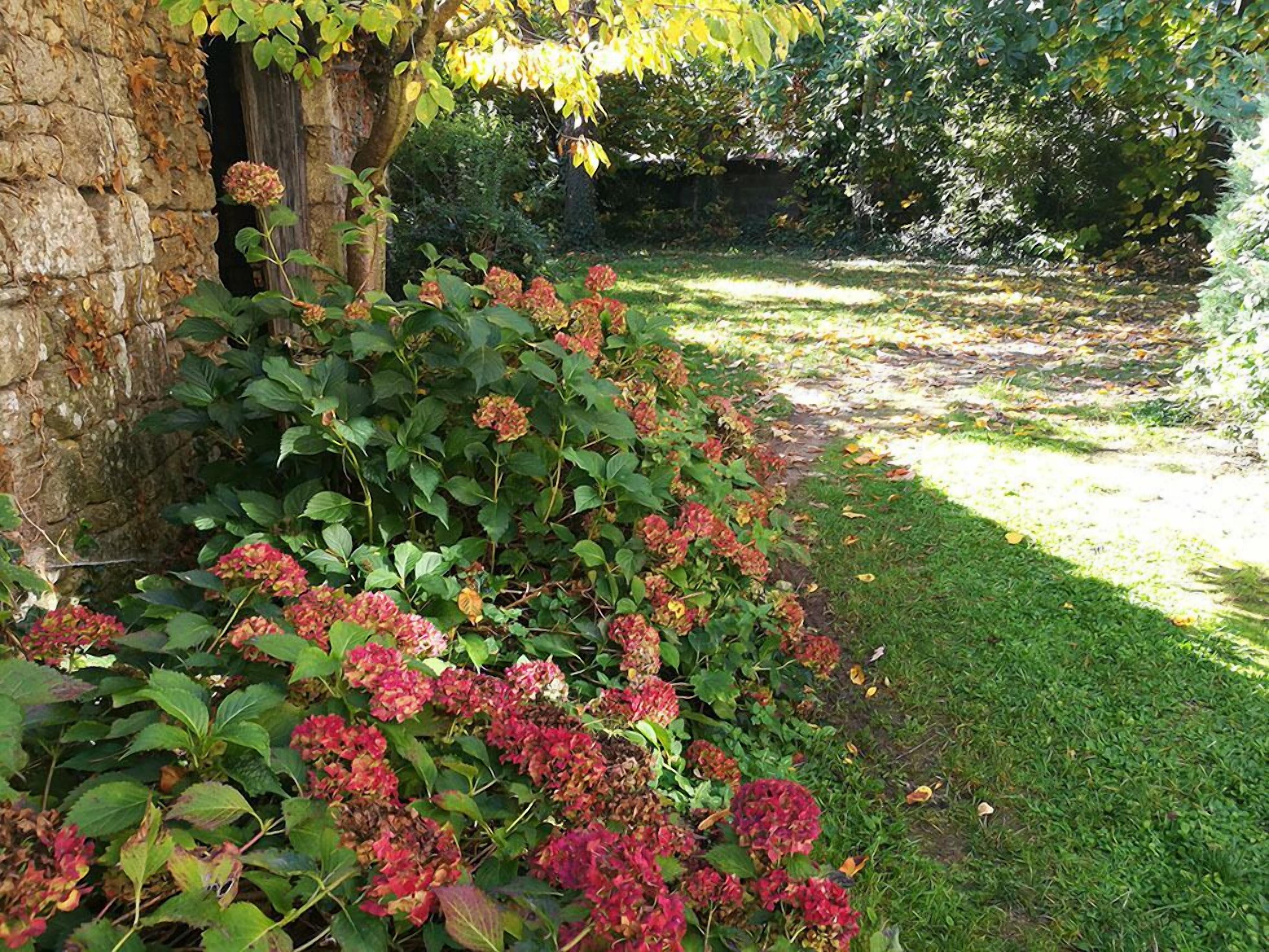 Um jardim com muro de pedra, vegetação exuberante e plantas floridas.