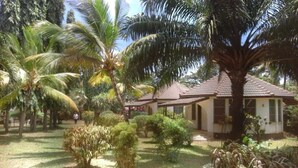 Uma casa rodeada por palmeiras e um jardim bem cuidado.