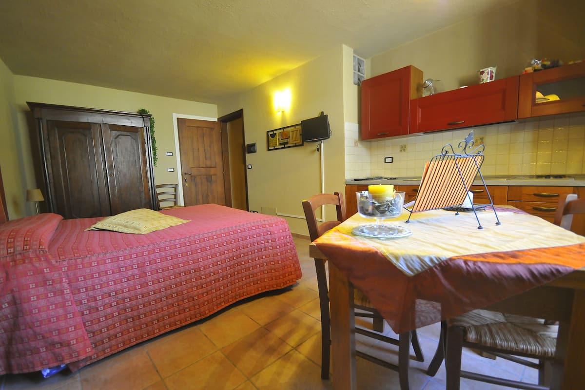 Quarto com cama, mesa de jantar com cadeiras, área de cozinha com armários e guarda-roupa de madeira.
