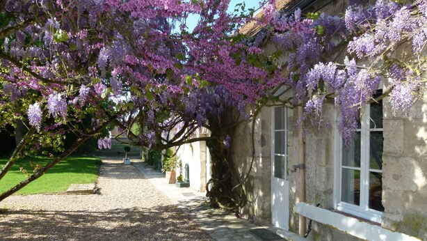 Um edifício com um caminho de cascalho, um banco e árvores com flores lilases.