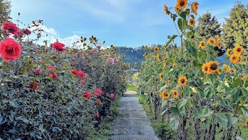Fachada do alojamento