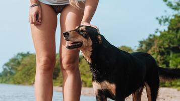 Uma pessoa em águas rasas com um cachorro.