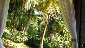 Quarto com vista para um jardim tropical, incluindo palmeiras e folhagem densa.