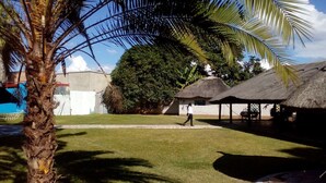 Área gramada ao ar livre com uma palmeira, uma construção de telhado de palha e uma pessoa caminhando.