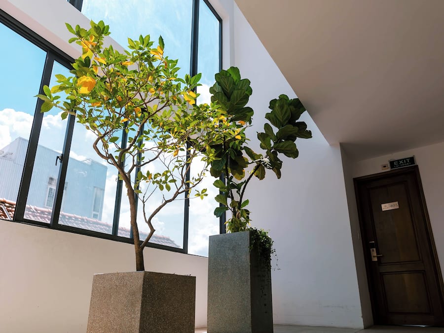 Quarto casal ou duplo luxo | Terraço/pátio