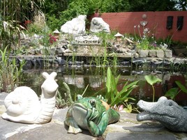 Terrenos do alojamento