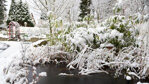 Uma área externa coberta de neve, com um pequeno lago, rodeada por plantas e árvores carregadas de neve.