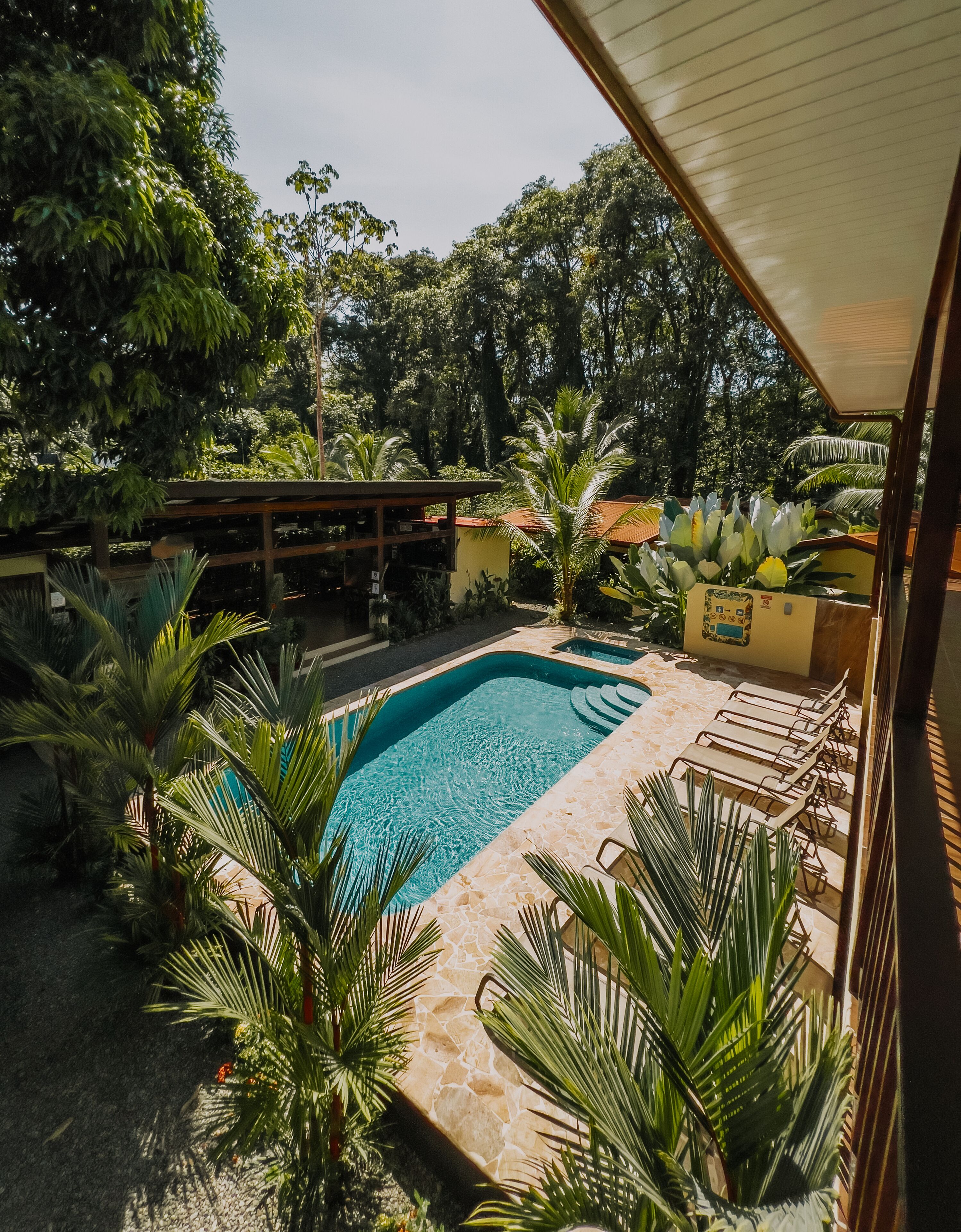 Piscina rodeada por vegetação exuberante, com espreguiçadeiras e área coberta.
