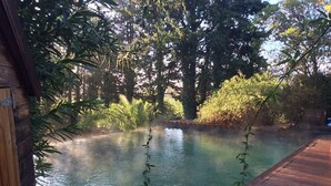 Um deck de madeira com piscina, rodeado por vegetação exuberante.