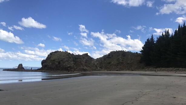 Uma extensa praia de areia com um afloramento rochoso ao fundo e uma área arborizada à direita.