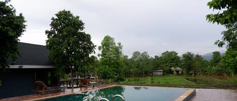 Piscina com deck revestido, cercada por árvores e gramado.