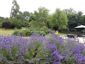 Um jardim com arbustos de lavanda, baloiço e um gazebo.