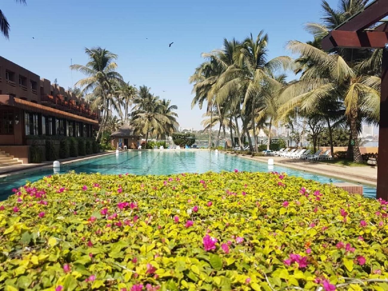Piscina rodeada por palmeiras e um jardim de flores.