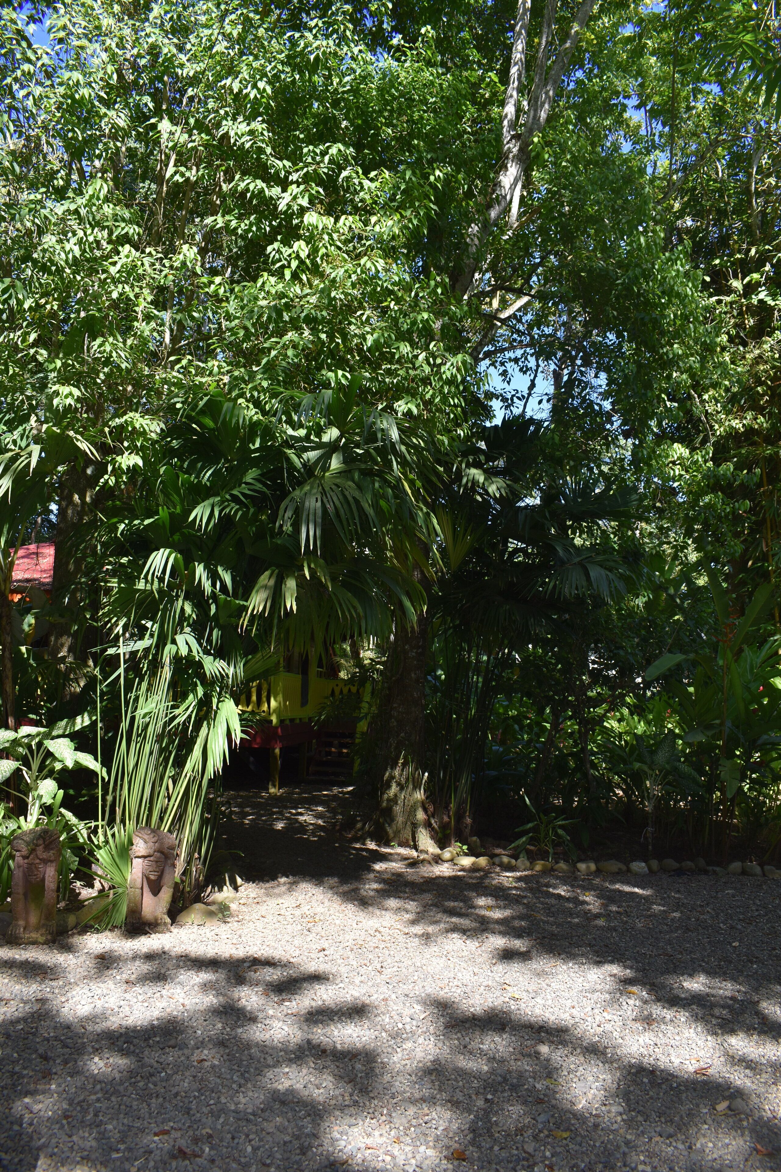 Um jardim com um caminho de cascalho, diversas plantas e uma grande árvore que oferece sombra.