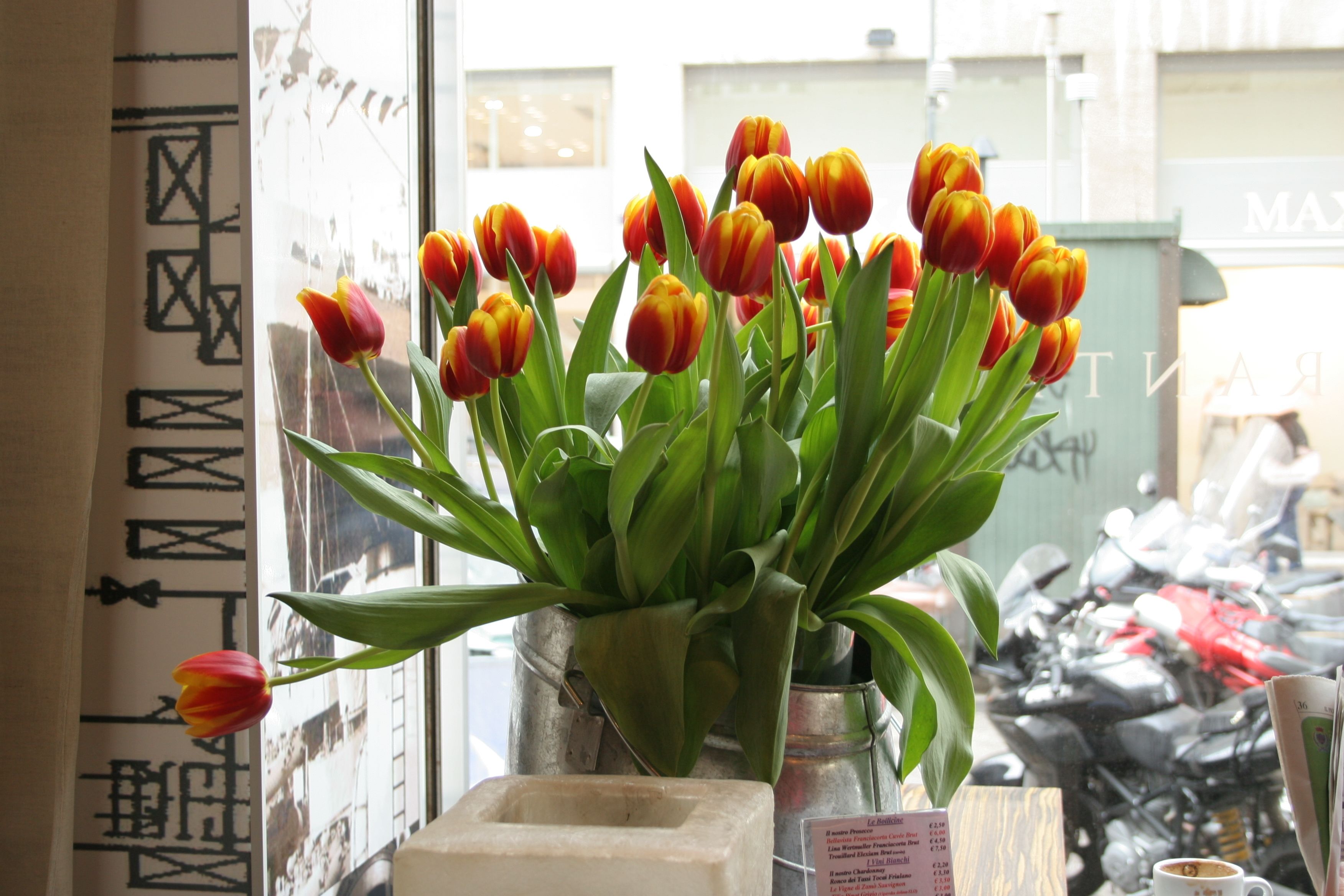 Um vaso de tulipas sobre uma mesa, com um cardápio e uma motocicleta ao fundo.
