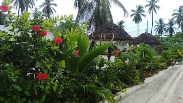 Jardim