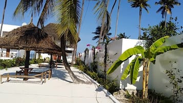 Jardim