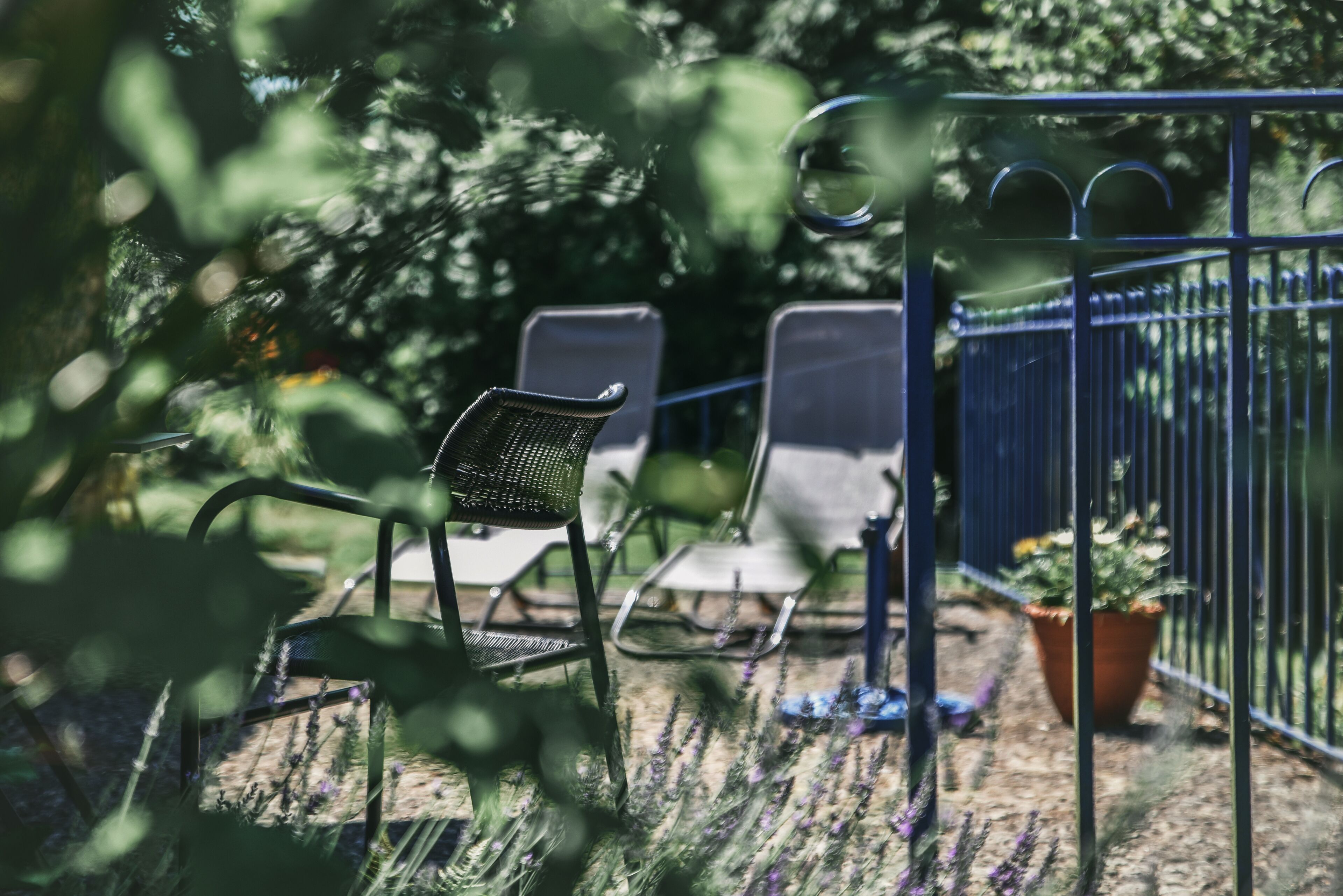 Um jardim com cadeiras de metal e um vaso de planta.