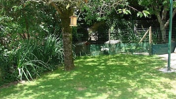 Jardim