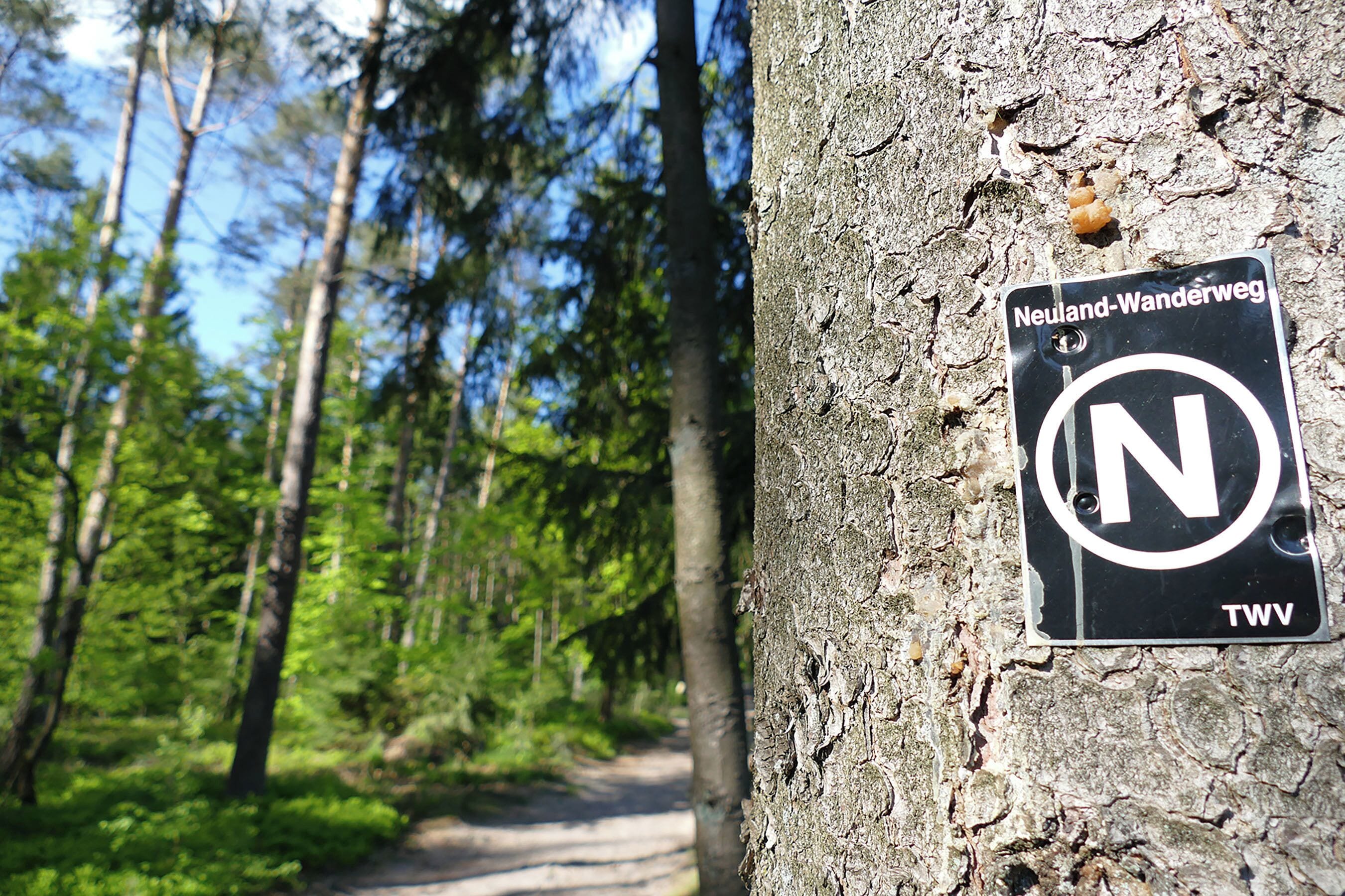 Uma trilha na floresta com uma placa indicando "Neuland-Wanderweg" e um símbolo "N".