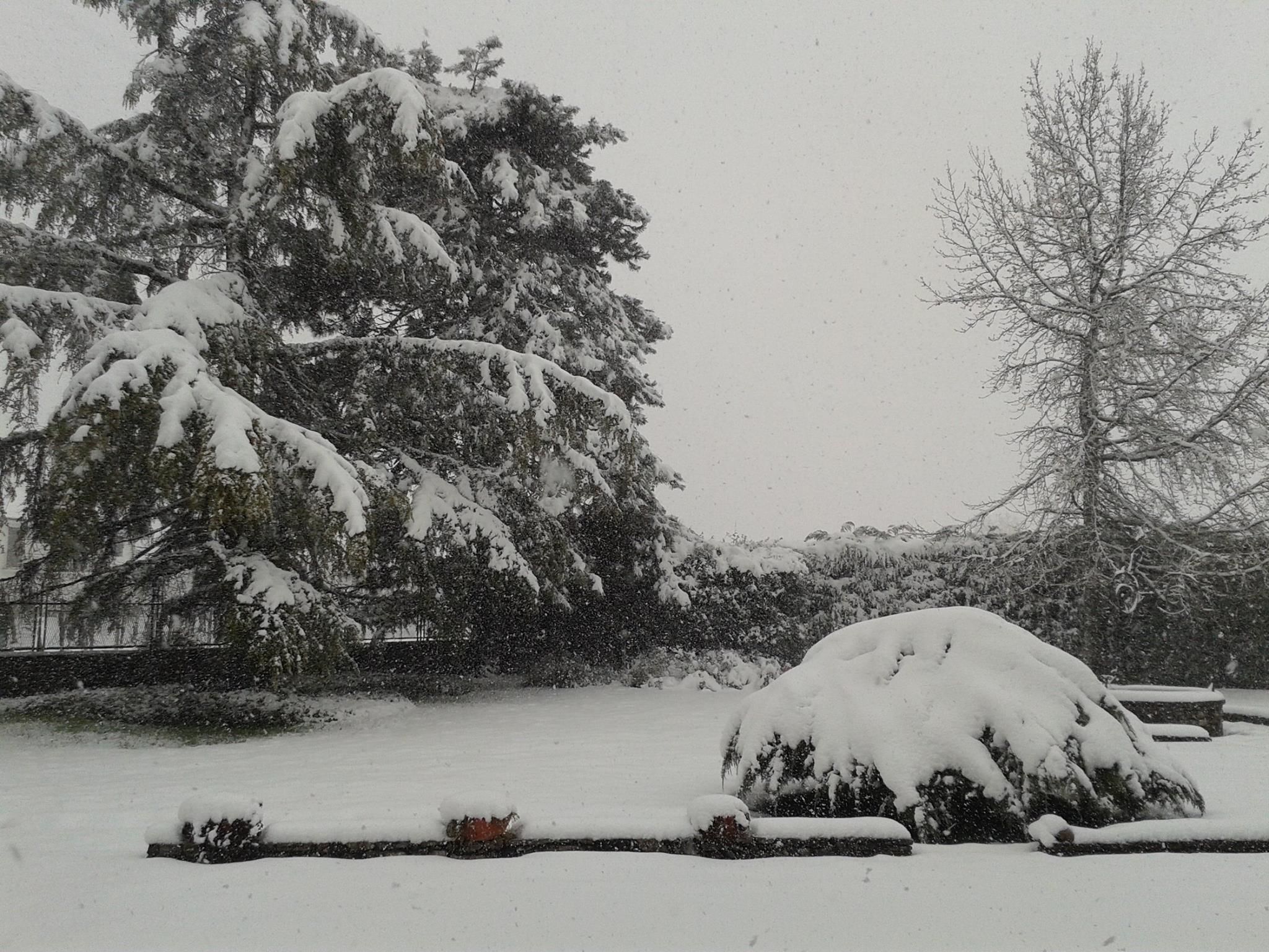 Paisagem coberta de neve com árvores e um edifício ao fundo.
