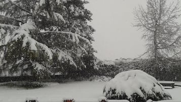 Paisagem coberta de neve com árvores e um edifício ao fundo.