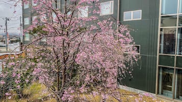 Um edifício moderno com grandes janelas e uma árvore florida com flores cor-de-rosa na frente.