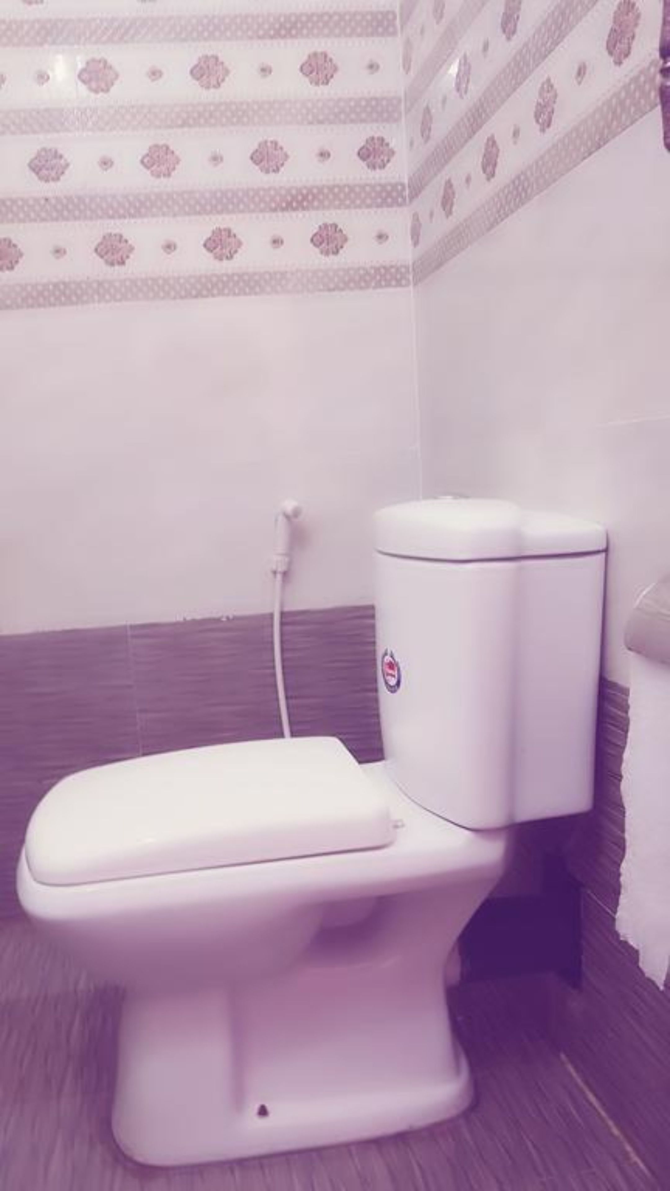 Sanitário branco com tampa, acionador de descarga na parede e rolo de papel higiênico à direita.