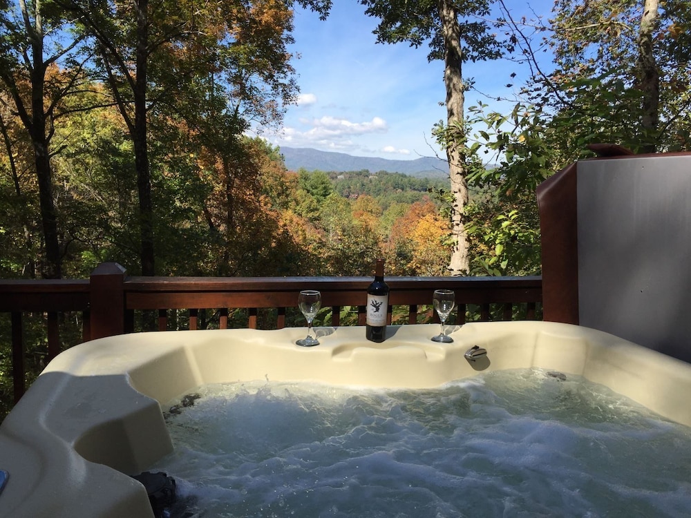 Bearly Connected | Ellijay, Ga - Ellijay, GA